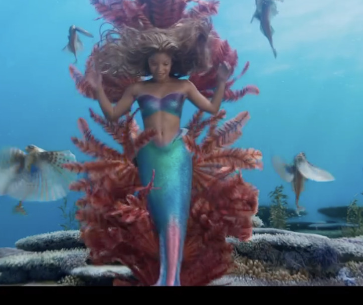 fffa683743f423cd895f05db10450718 | Coco NAVI-ココナビ-