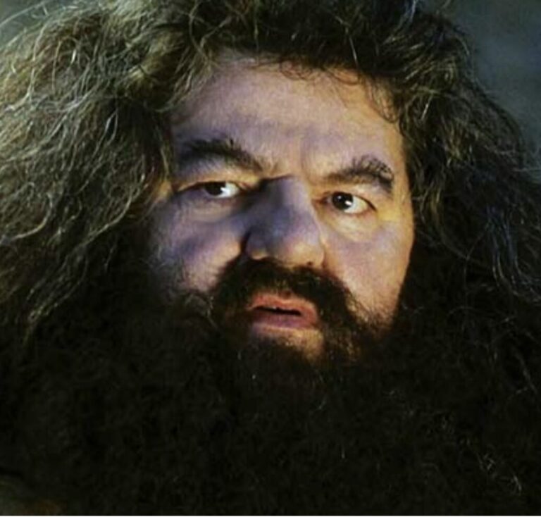 【最新】ハリーポッター亡くなった主要俳優まとめ｜年齢や死因など | Coco NAVI-ココナビ-